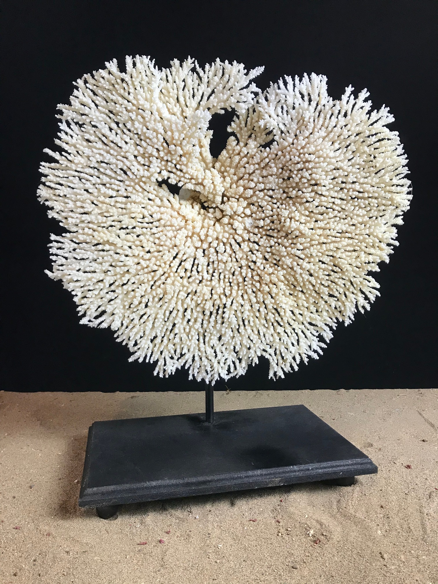 vente de corail table